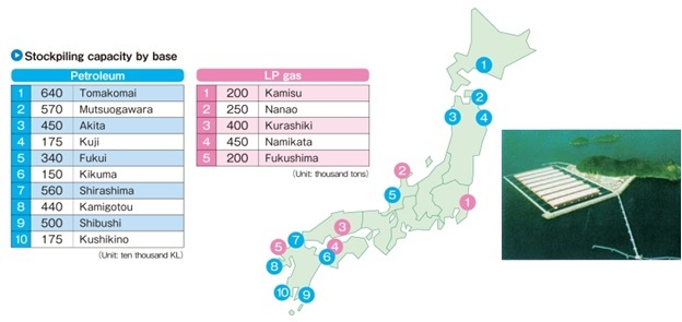 OPTIONS FOR REMOTE INTERIM STORAGE OF NUCLEAR SPENT FUELS IN JAPAN ...